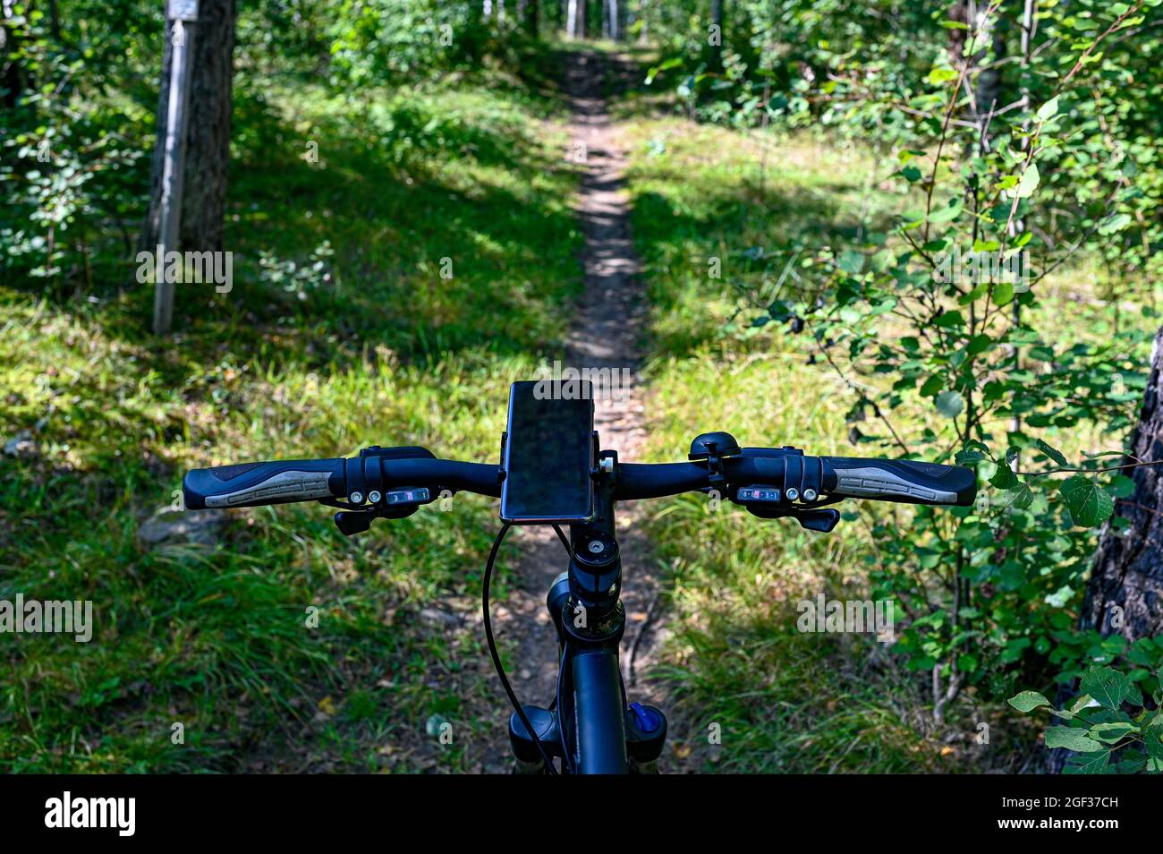 bicycle standing och mtb trail in forest Stock Photo - Alamy