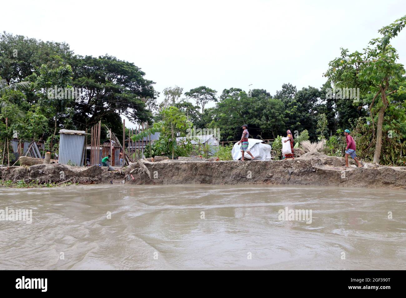 shows the eroded bank of a river in munshiganj district, Some 53 km ...