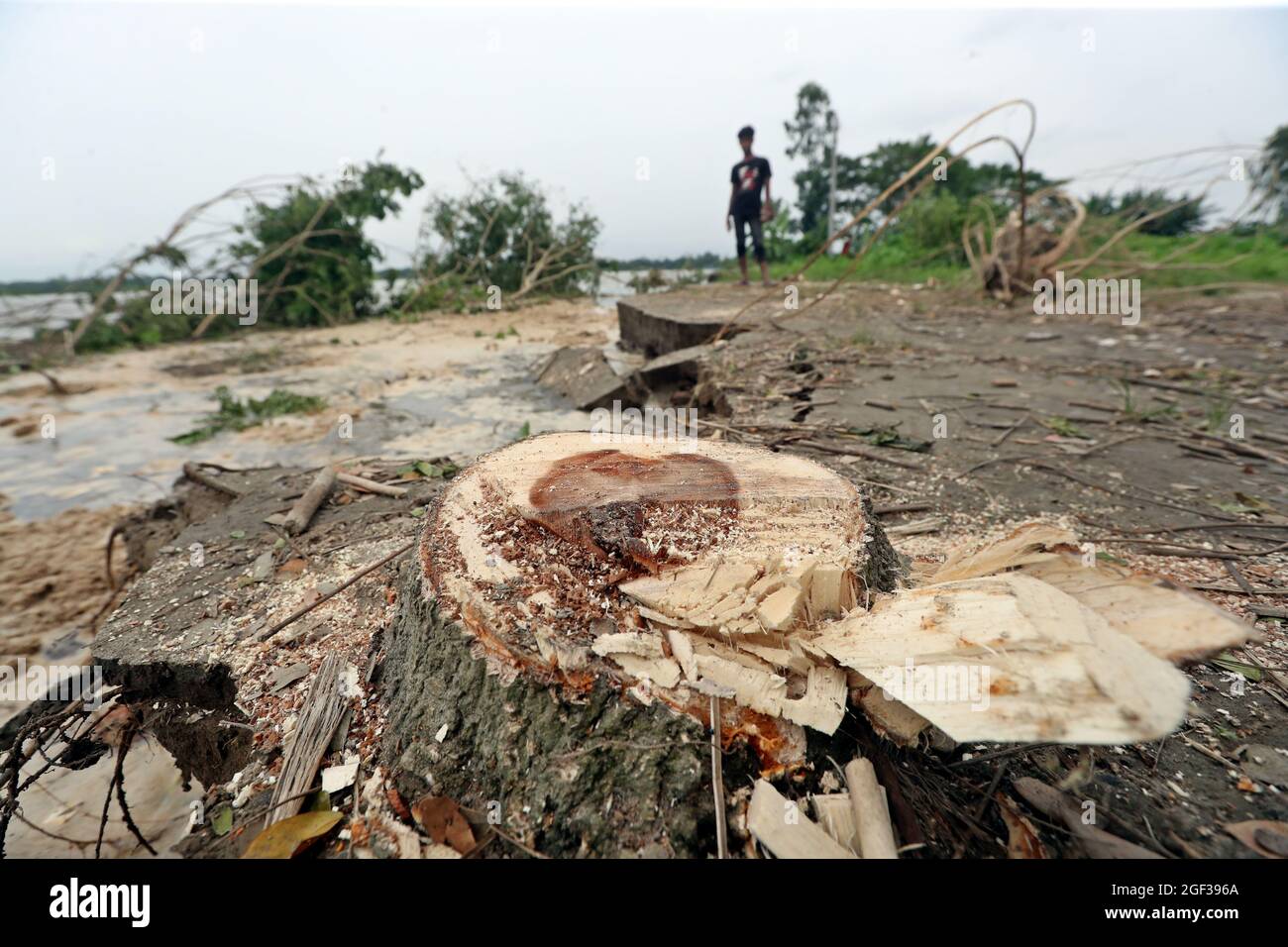 shows the eroded bank of a river in munshiganj district, Some 53 km ...