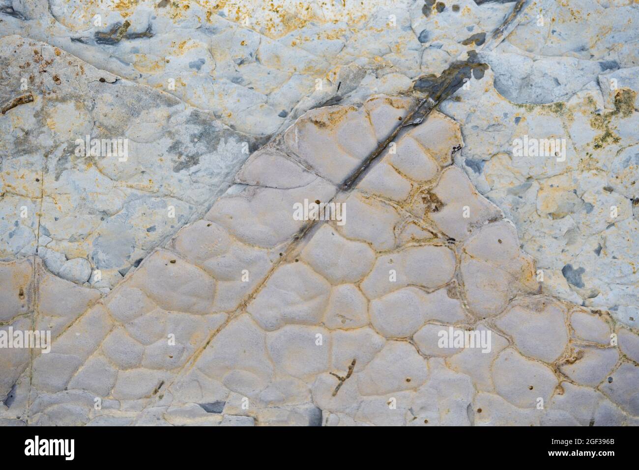 sea rock texture close up view Stock Photo - Alamy