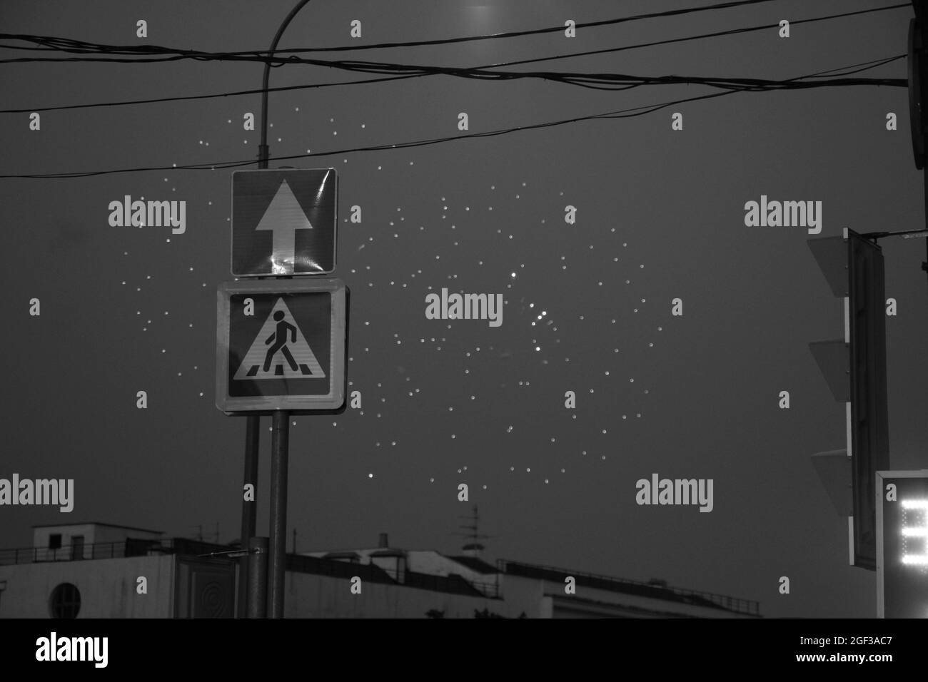 Grayscale shot of fireworks in Saint Petersburg street behind the ...