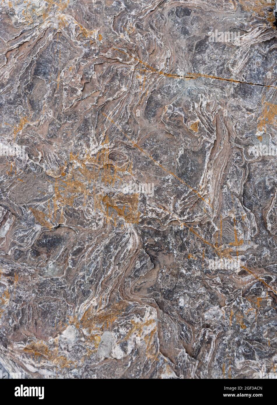 sea rock texture close up view Stock Photo - Alamy