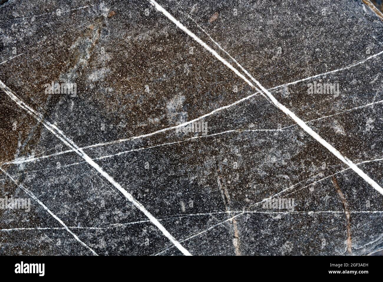 sea rock texture close up view Stock Photo - Alamy