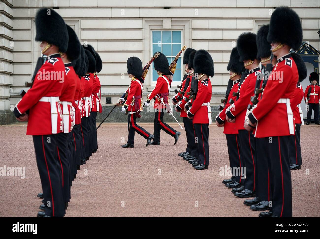 Members 1st battalion grenadier guards hi-res stock photography and ...