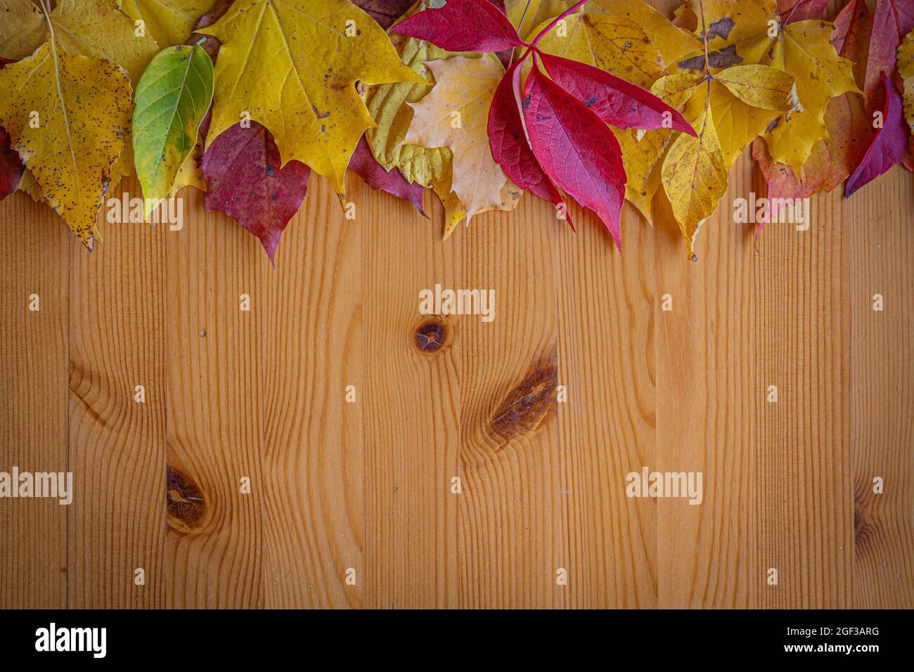 Flat lay wooden table background with autumn leaves frame Stock Photo ...