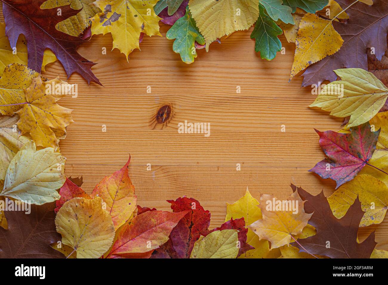 Flat lay wooden table background with autumn leaves frame Stock Photo ...