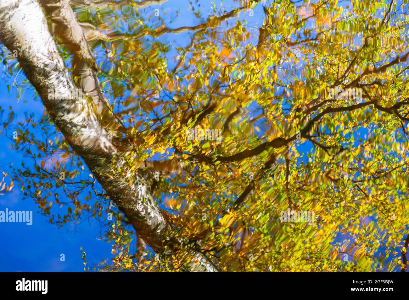 Abstract water reflections in a lake Stock Photo - Alamy