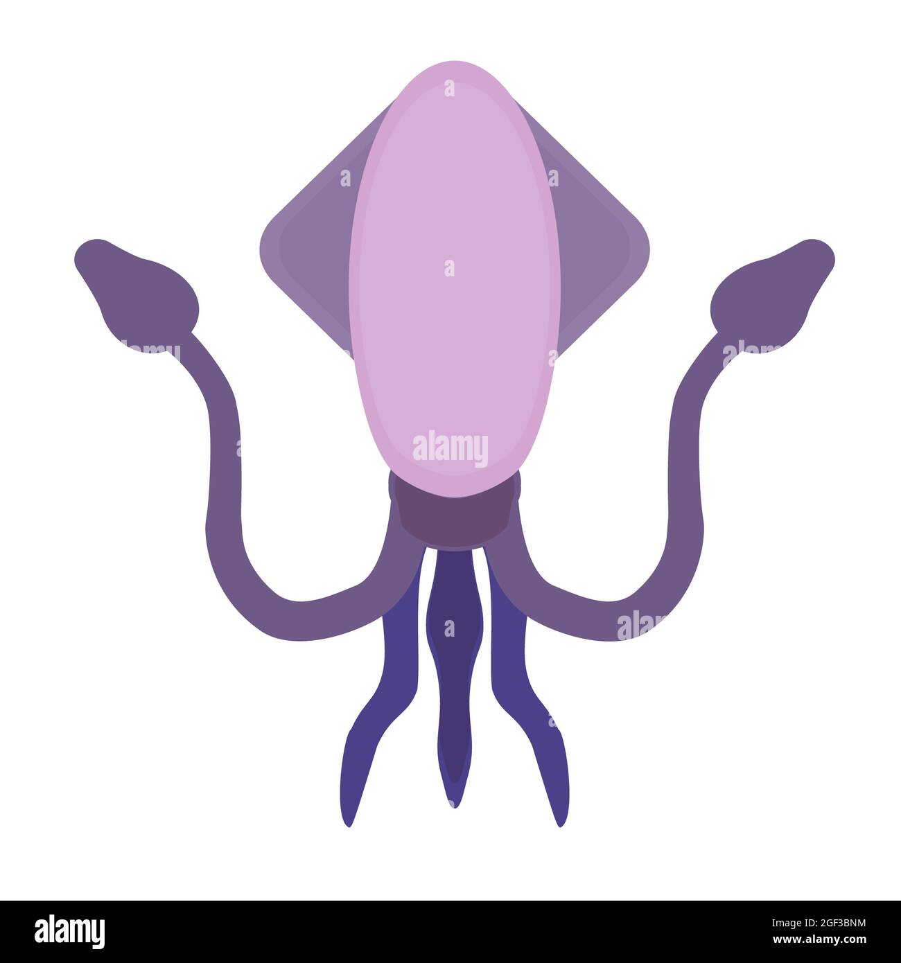 Squid flat icon. Pictogram for web. Simple symbol isolated on white ...
