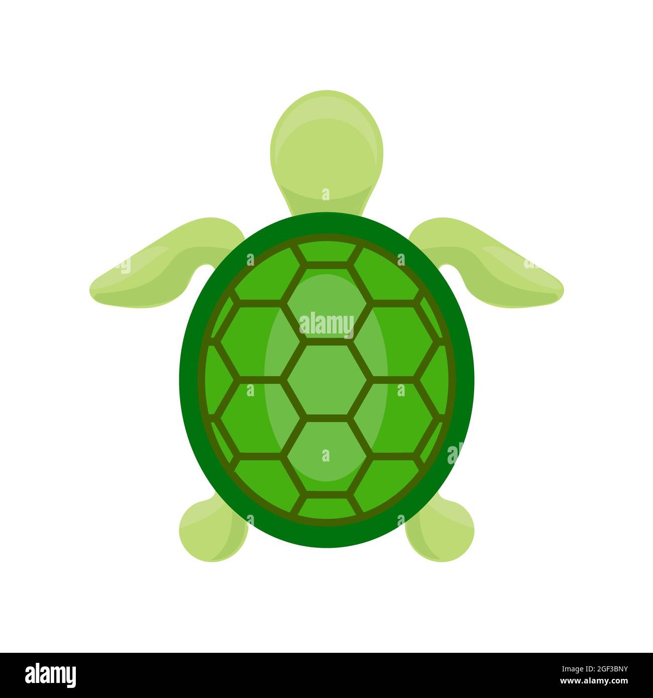 Green turtle flat icon. Pictogram for web. Simple symbol isolated on ...