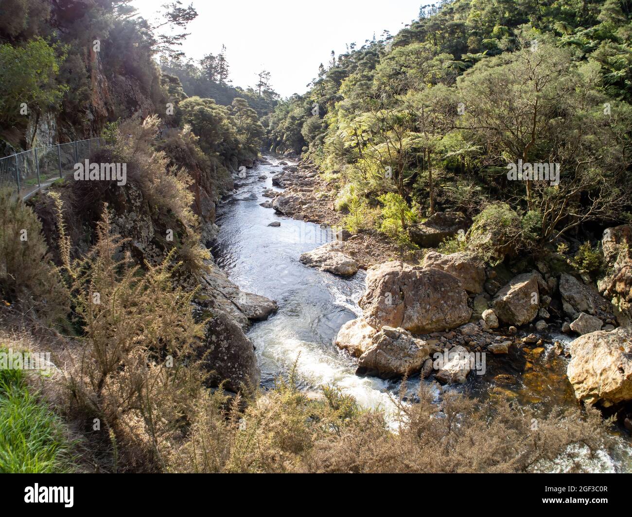 Karangahake waitawheta gorge hi-res stock photography and images - Alamy