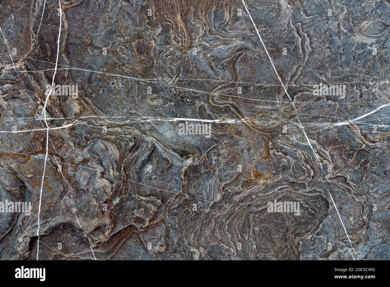 sea rock texture close up view Stock Photo - Alamy