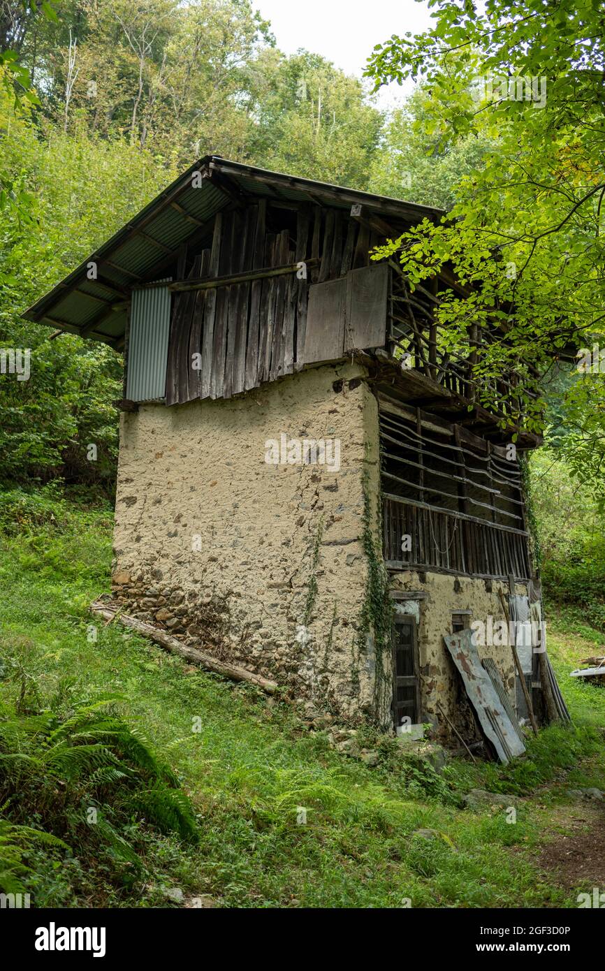 Ancient stone house in the woods Stock Photo - Alamy