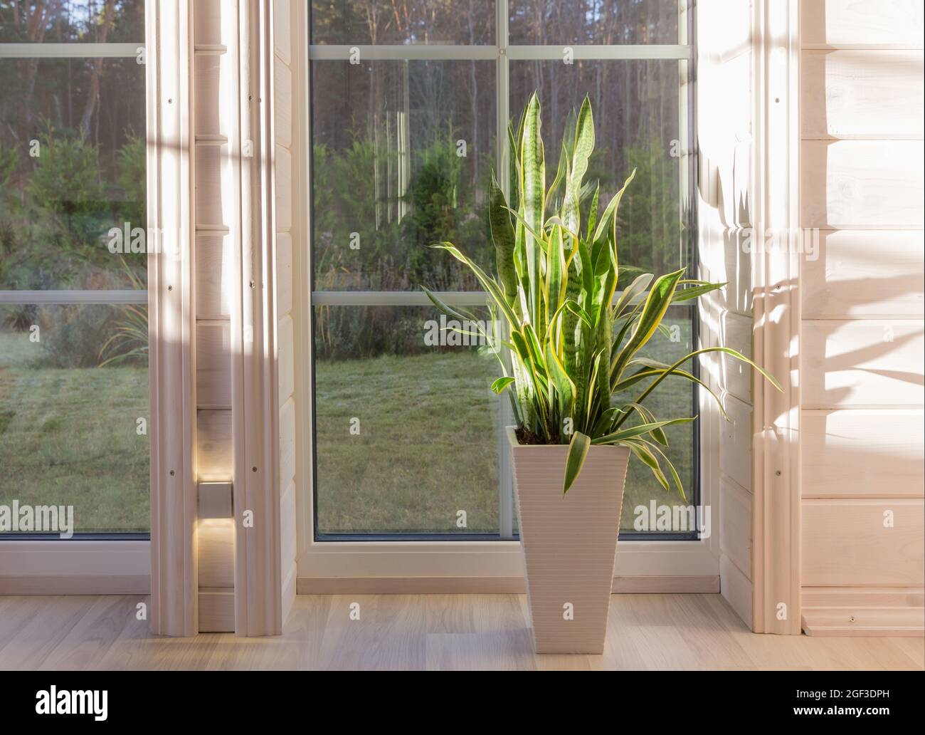 Living room overlooking garden hi-res stock photography and images - Alamy