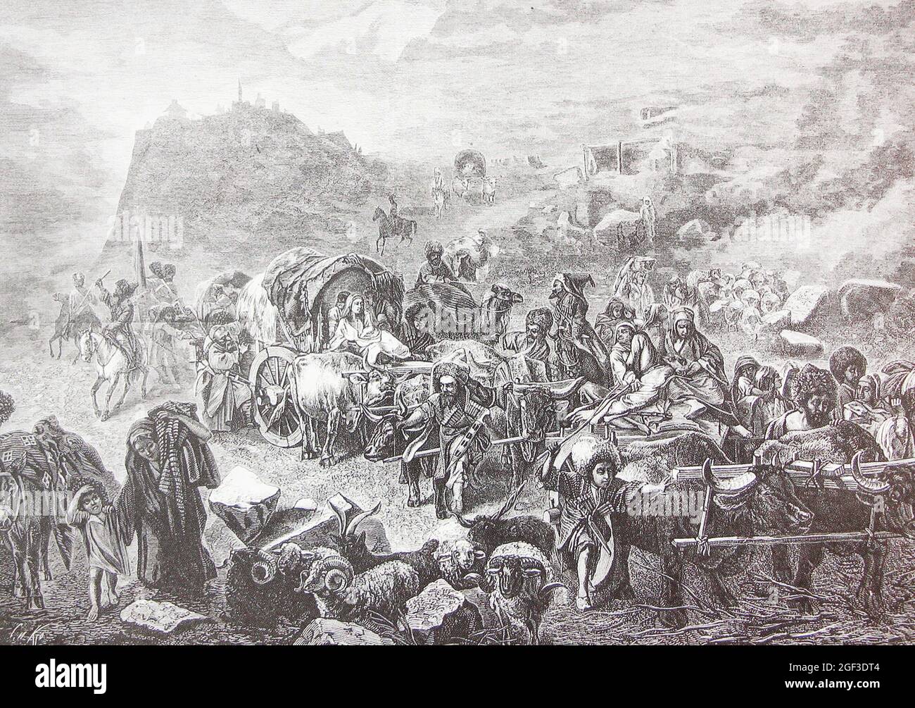 Migration gravure hi-res stock photography and images - Alamy