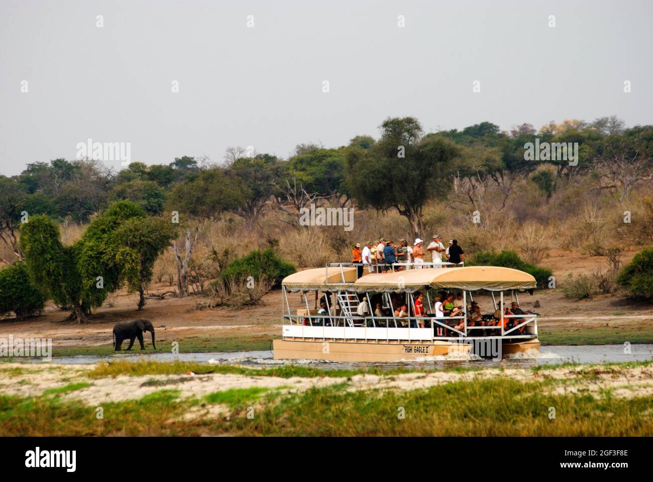 Chobe River Boat Cruise