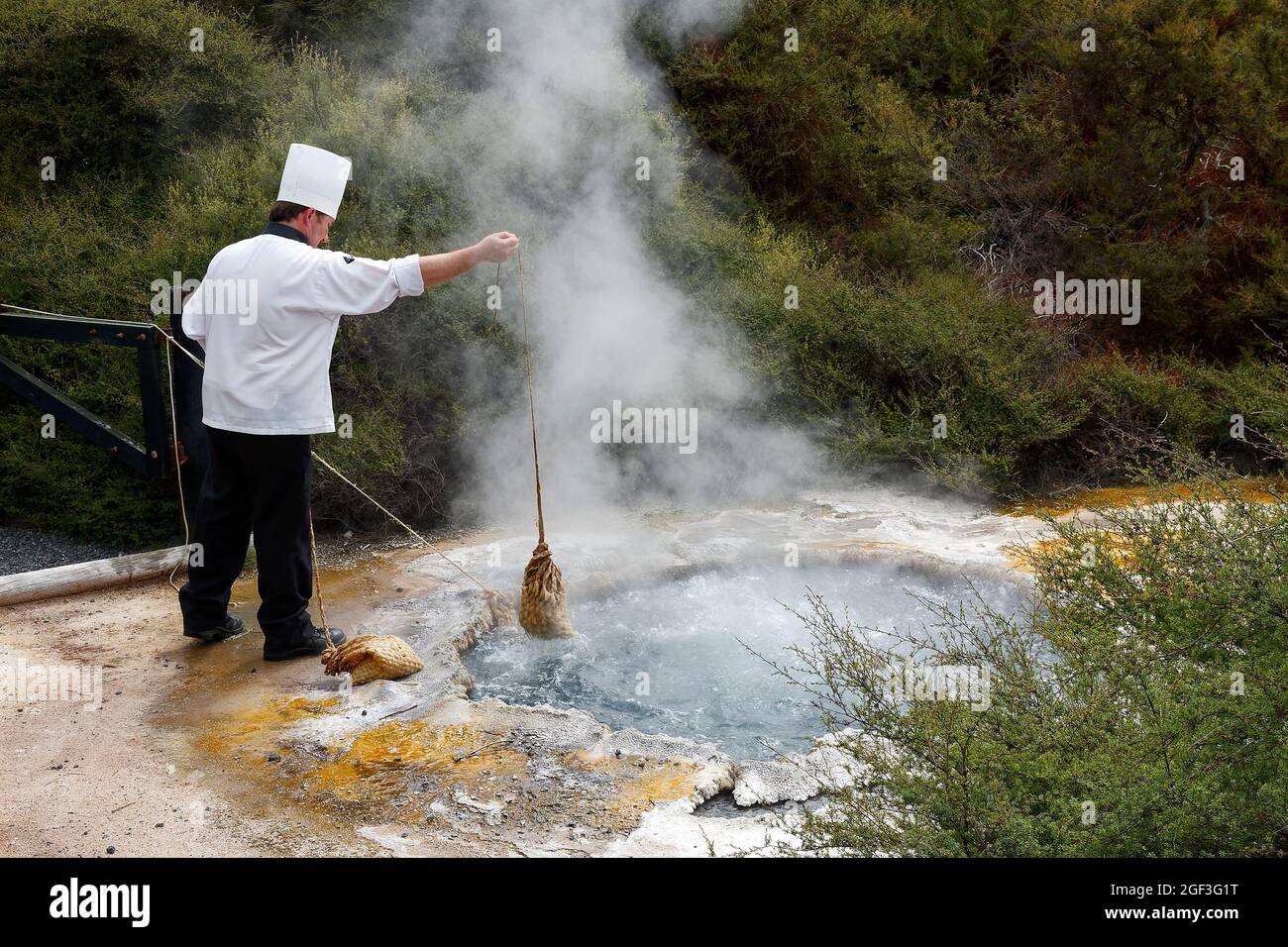Maori chef cooking food in baskets, hot geothermal pool, steam ...