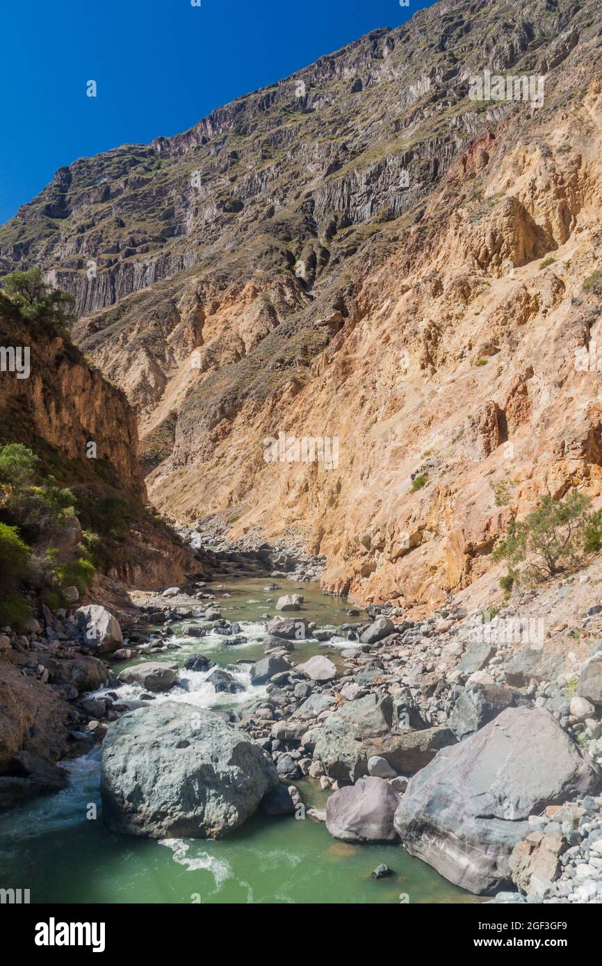 River in Colca canyon, Peru Stock Photo - Alamy