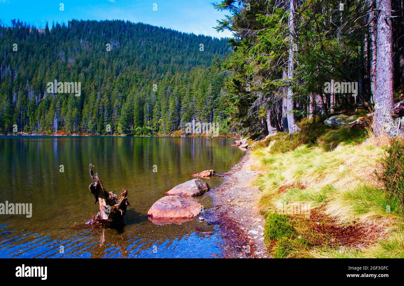Black Lake in the Sumava National Park in the Czech Republic Stock ...