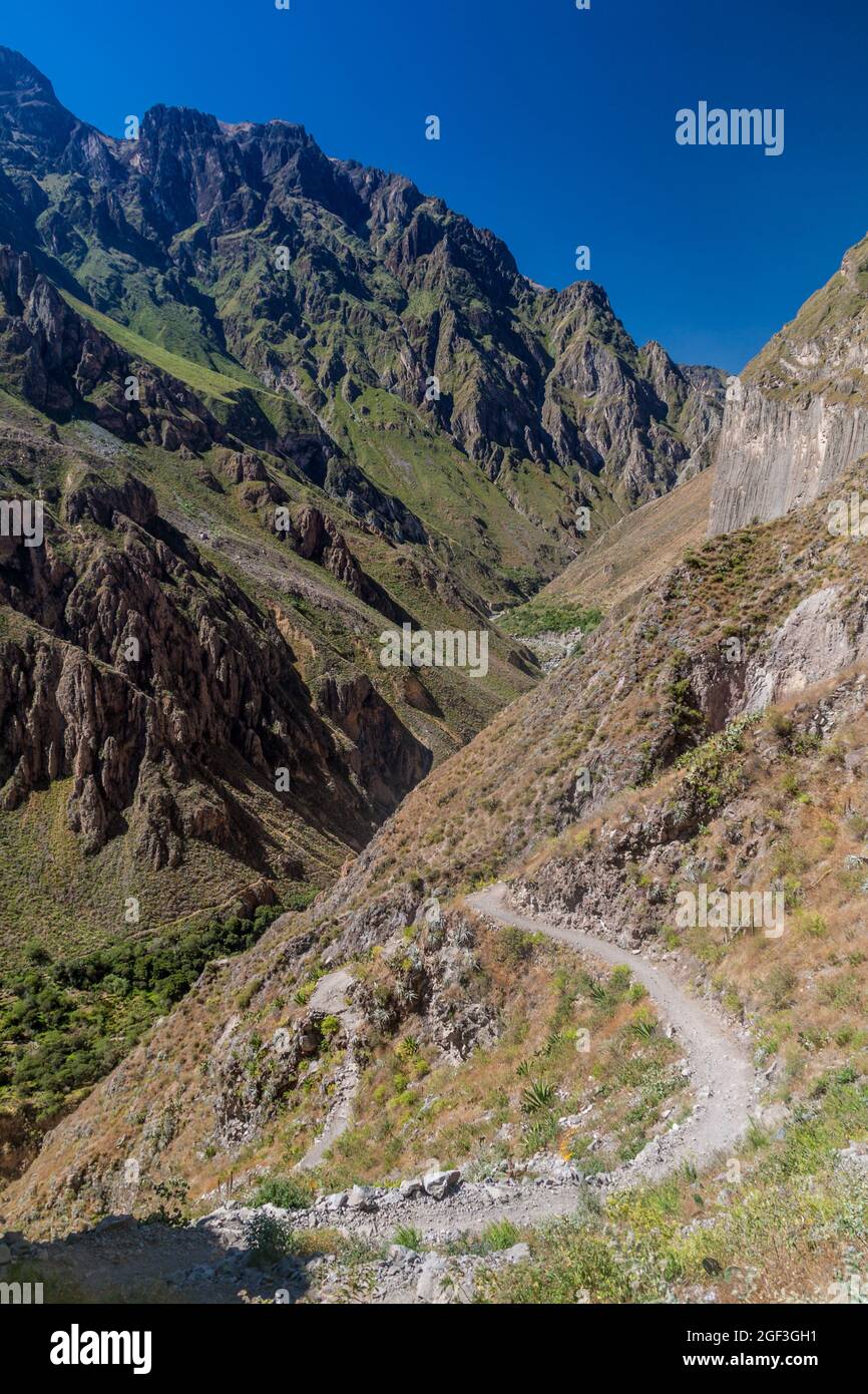 Steep path to Colca Canyon in Peru Stock Photo - Alamy