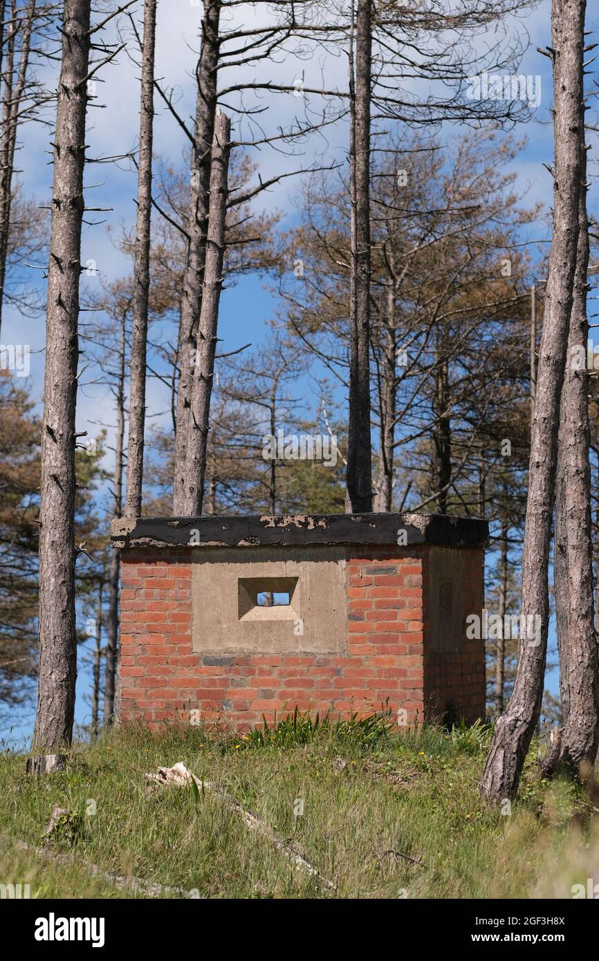 Former wartime coastal defence bunker at Pembrey Country Park ...