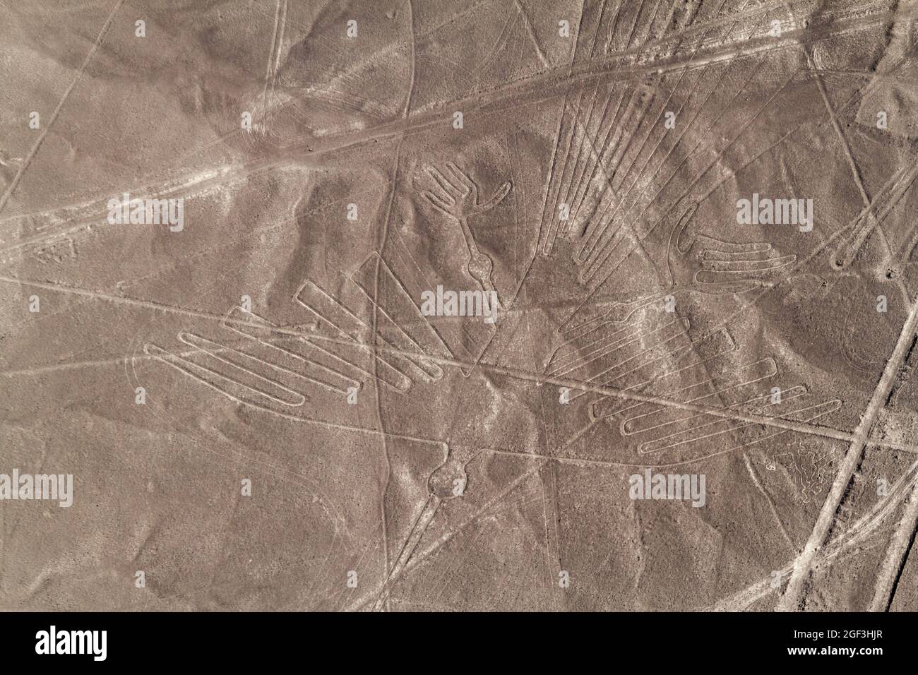 Aerial view of geoglyphs near Nazca - famous Nazca Lines, Peru. In the ...