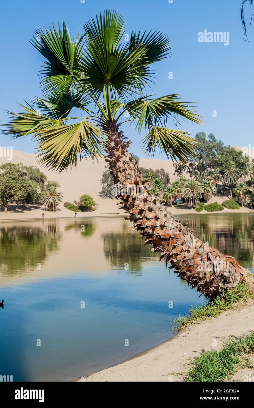 Desert oasis Huacachina near Ica, Peru Stock Photo - Alamy