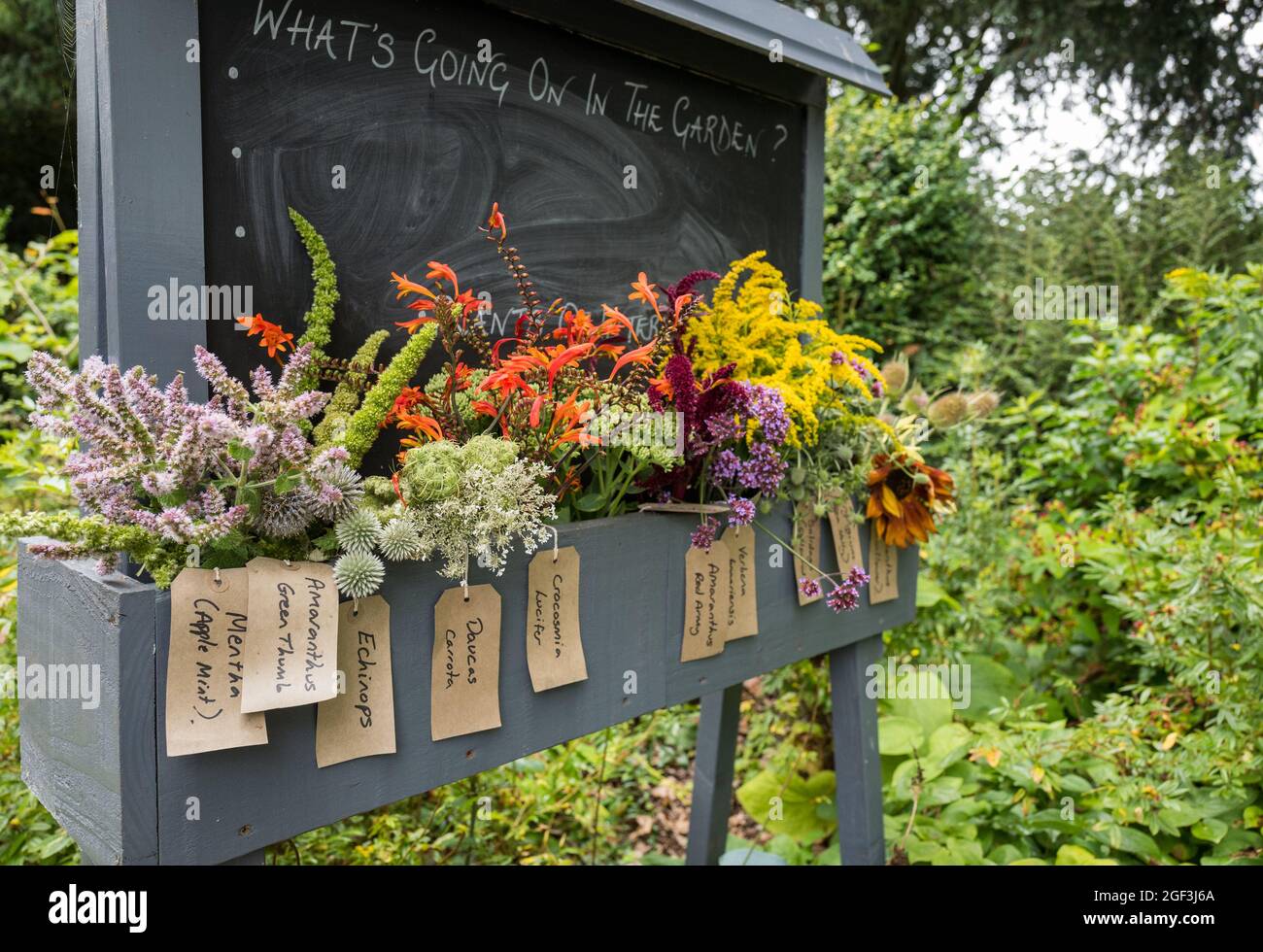 Labelled garden hi-res stock photography and images - Alamy