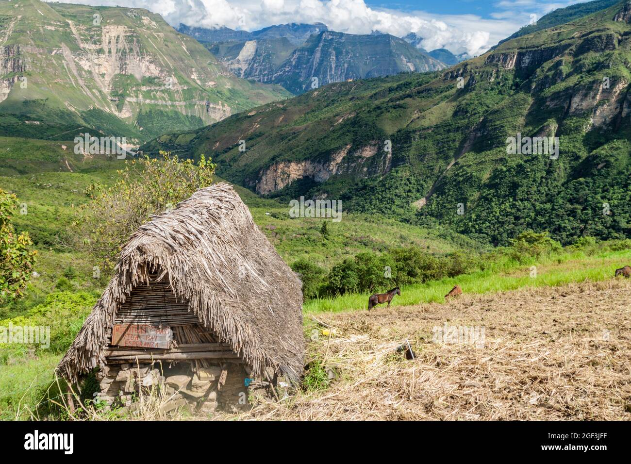 Small rural hut near Catarata del Gocta waterfall, Peru Stock Photo - Alamy