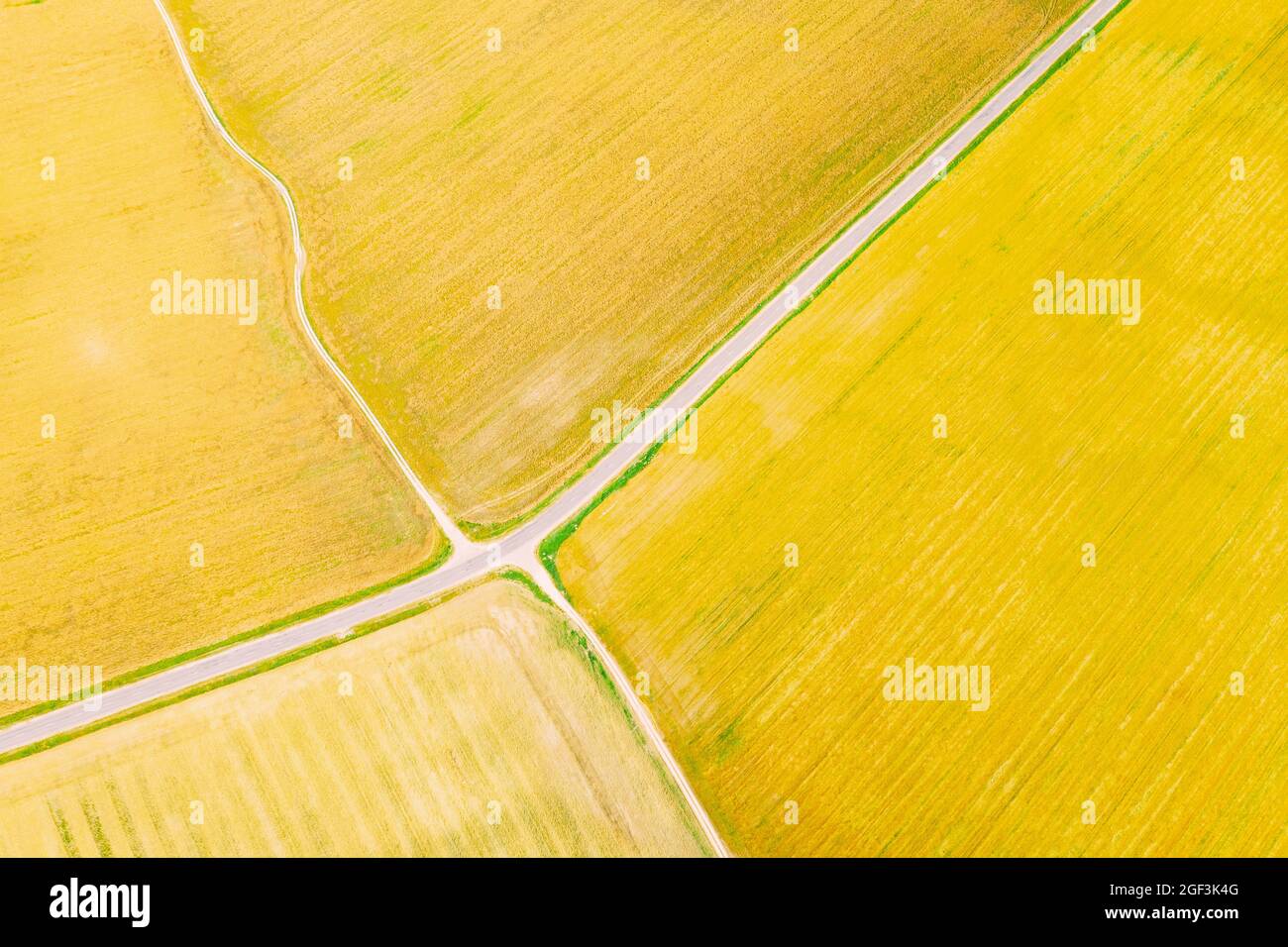 Different crops hi-res stock photography and images - Alamy