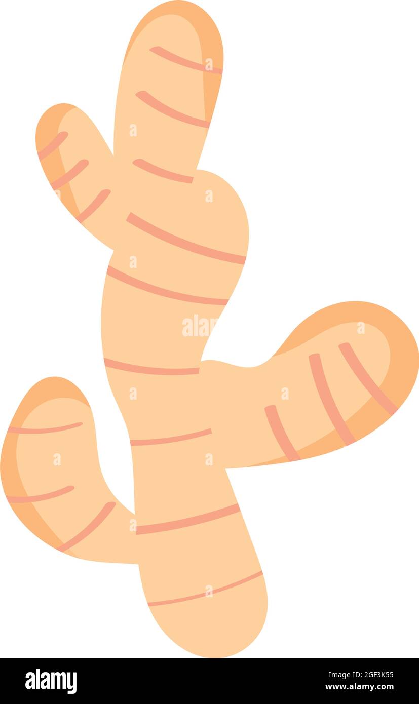 ginger root icon on white background Stock Vector Image & Art - Alamy
