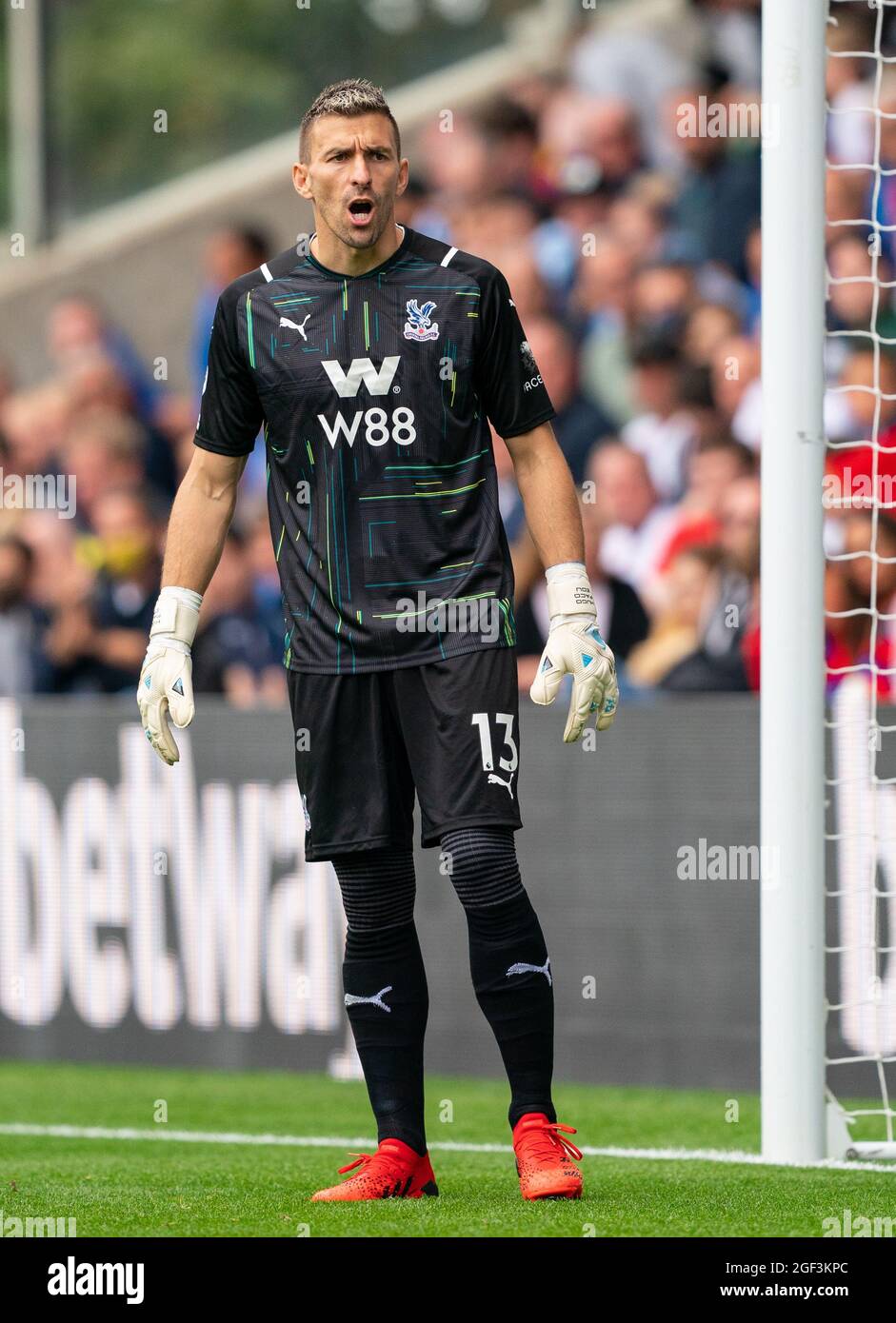 Crystal Palace goalkeeper Vicente Guaita during the Premier League ...