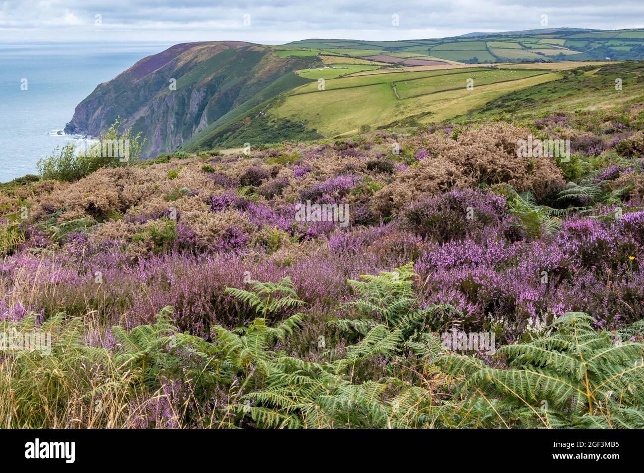 View of the Devon coastline near Combe Martin Stock Photo - Alamy