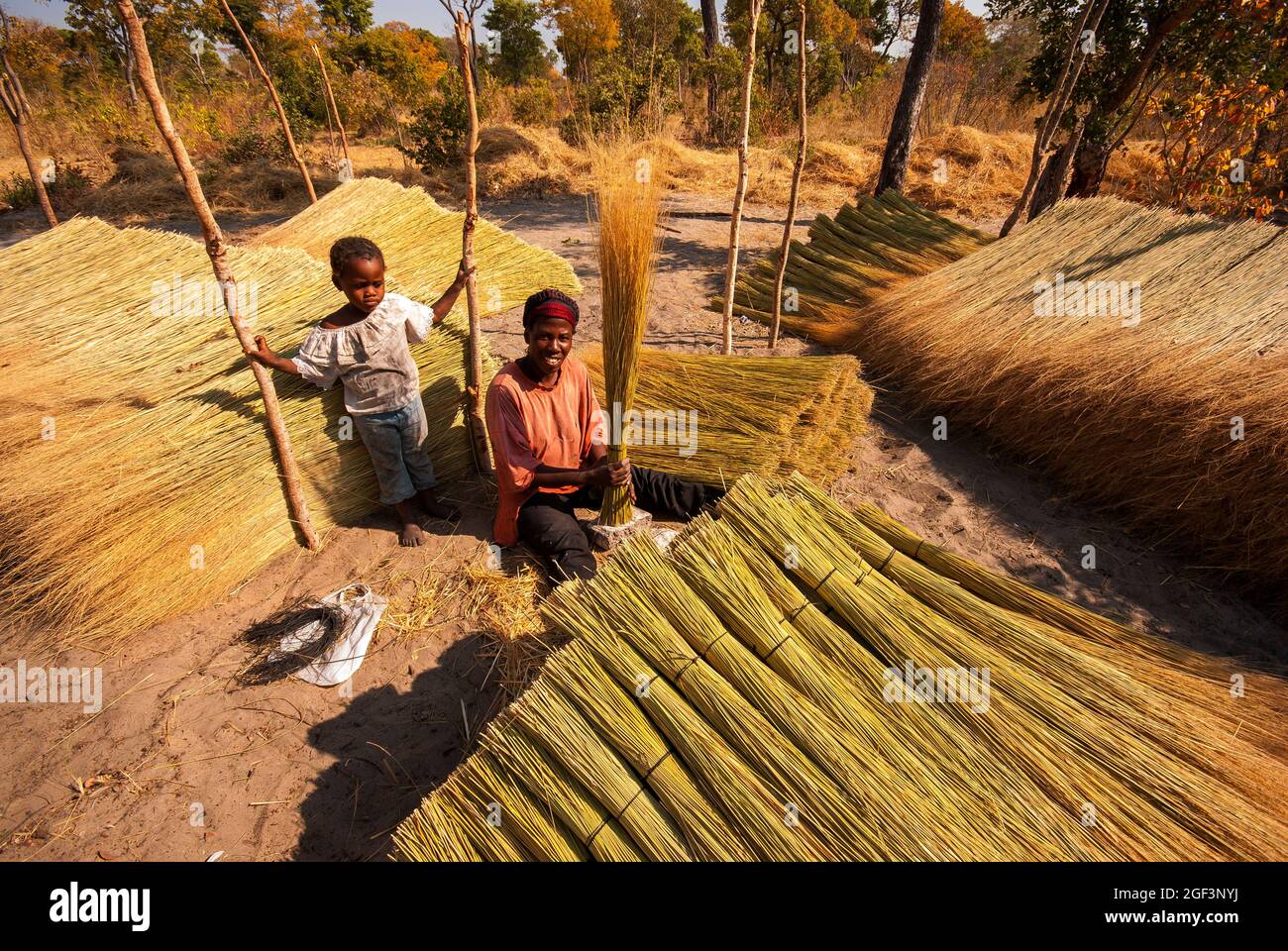 African people and their business of straw used locally for hut ...