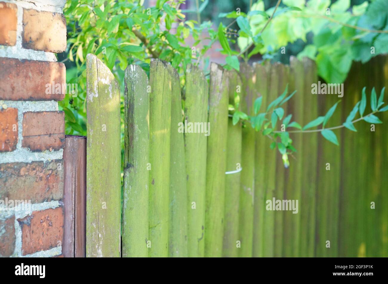 Wooden fence near a brick wall with the leaves on it Stock Photo - Alamy