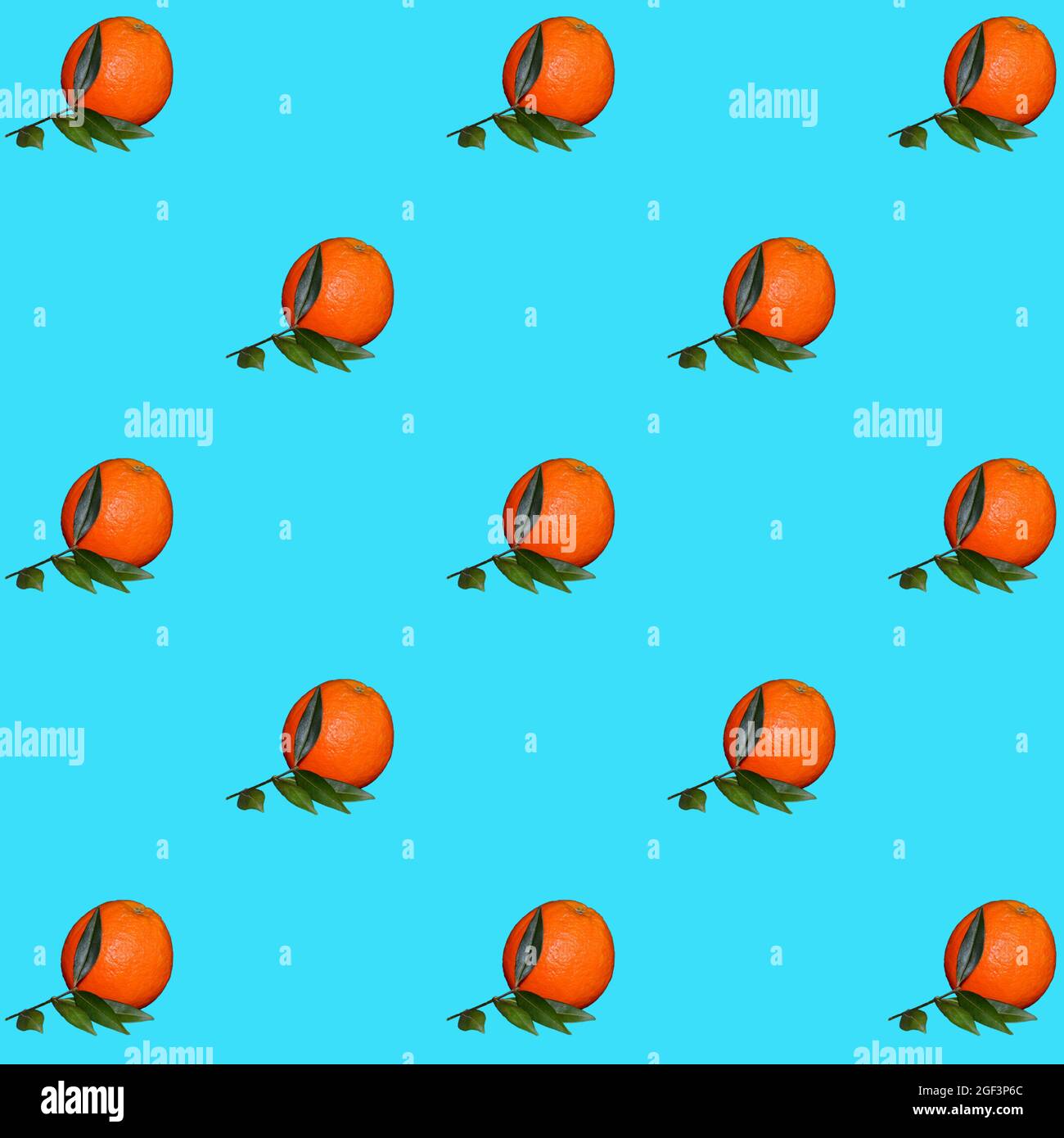 Pattern of Fresh orange citrus fruit with leaves isolated on blue ...
