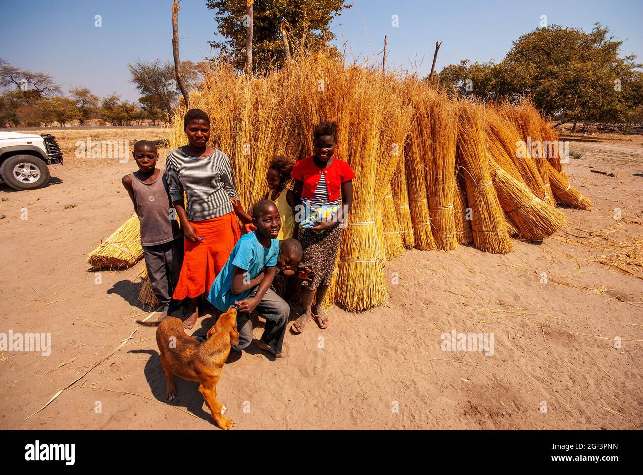 African people and their business of straw used locally for hut ...