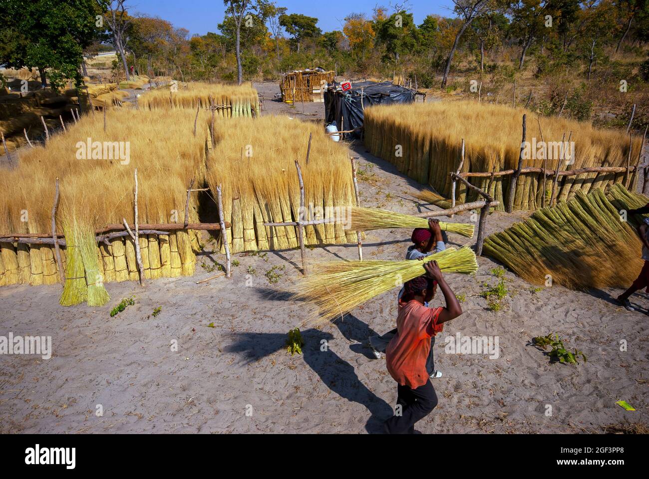 African people and their business of straw used locally for hut ...