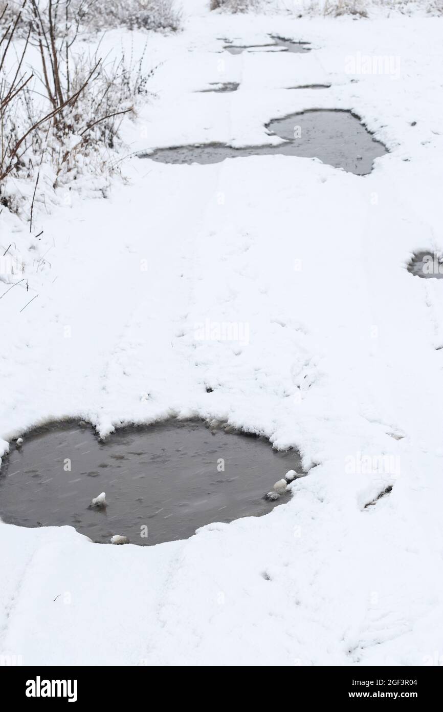 Tree in puddle during winter hi-res stock photography and images - Alamy