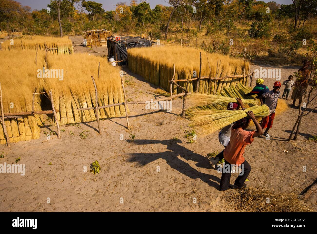 African people and their business of straw used locally for hut ...