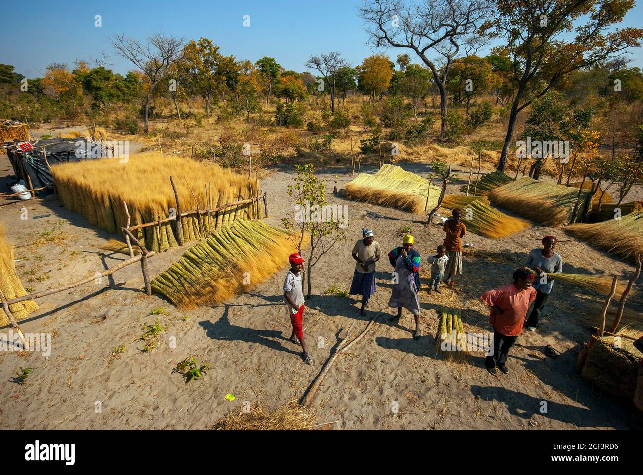 African people and their business of straw used locally for hut ...