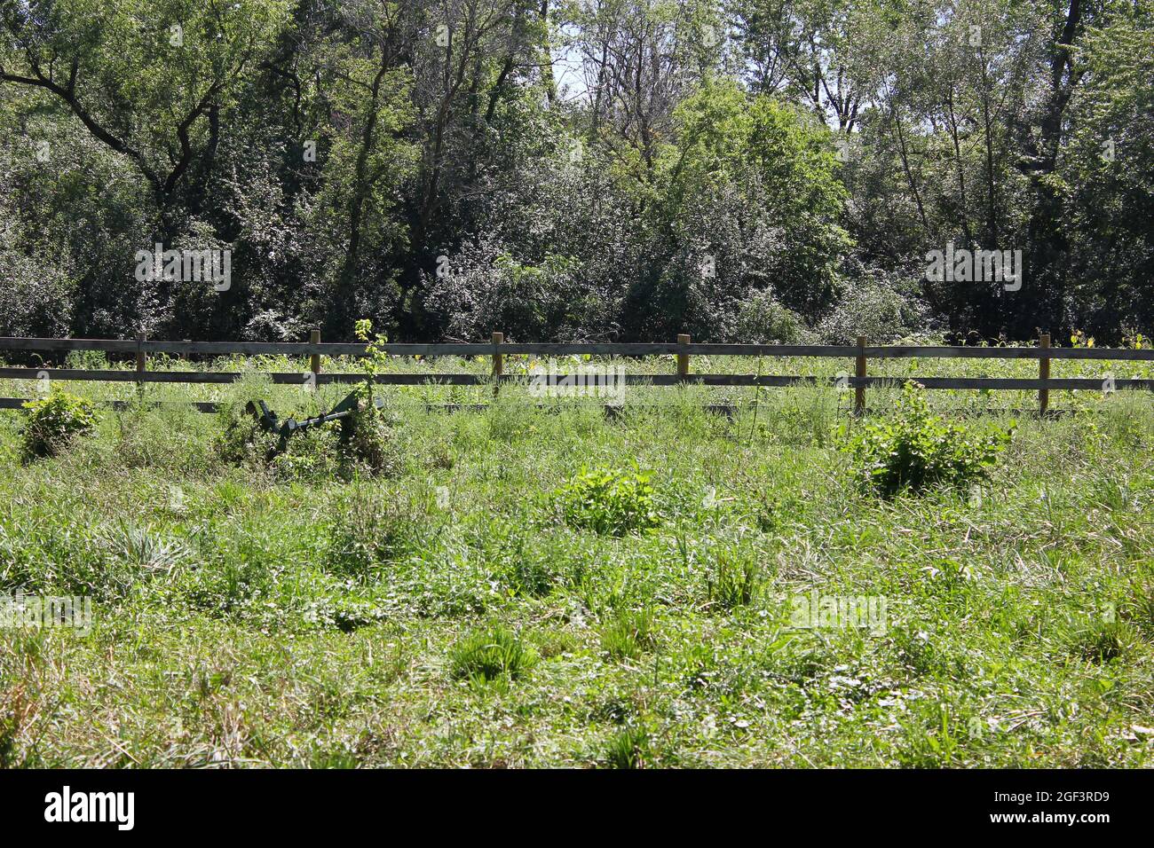 Traditional wooden boundary fence crossing a farm field on a bright ...