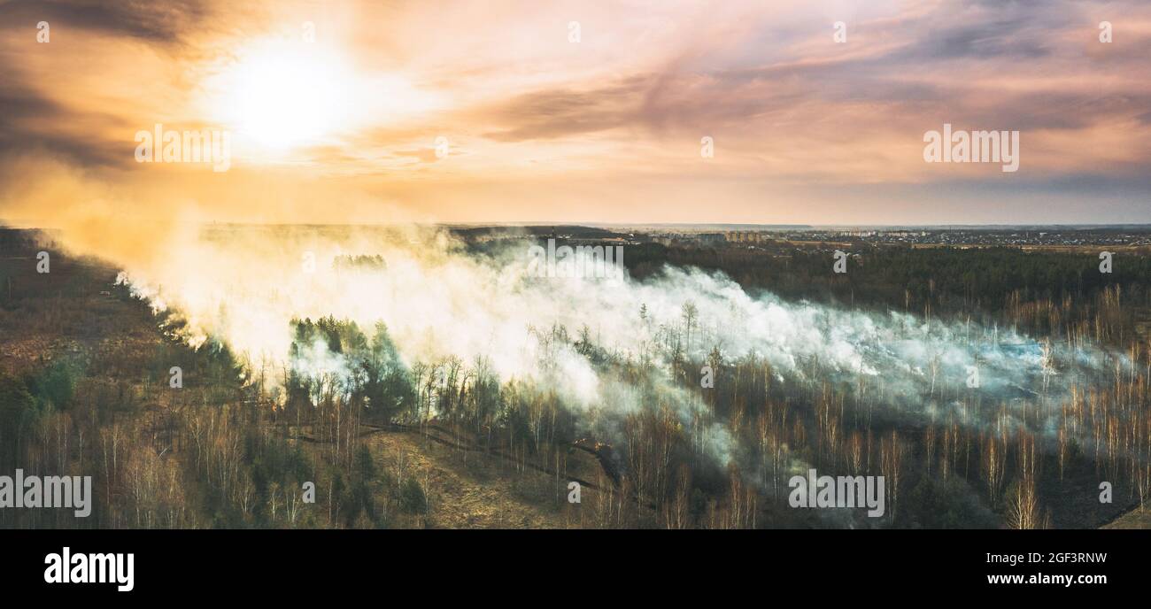 Aerial View. Spring Dry Forest Burns During Drought Hot Weather. Bush ...