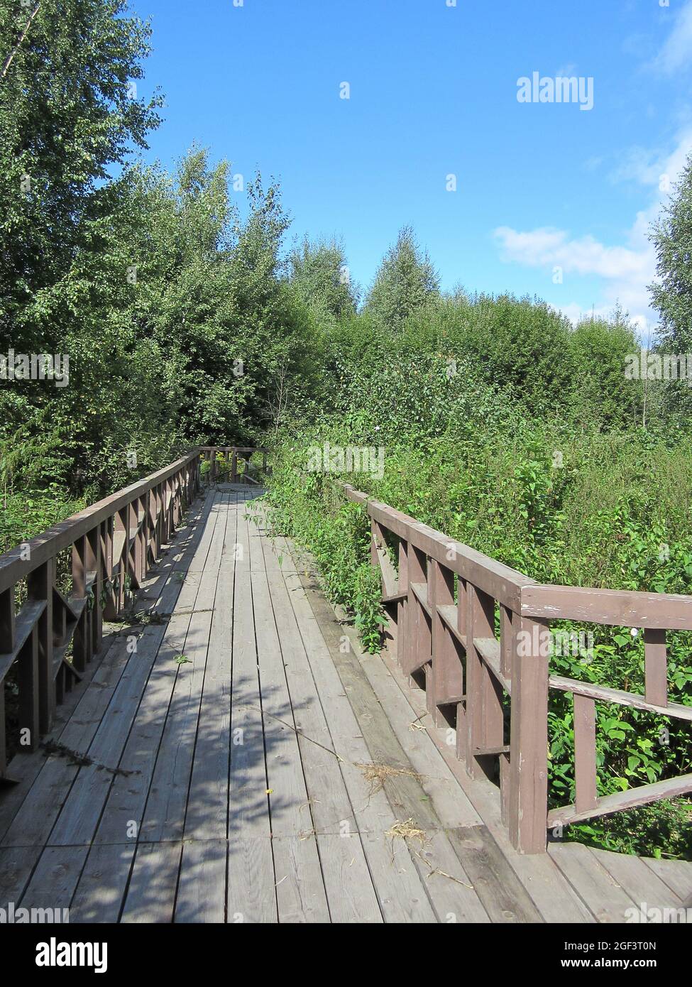 Modern wooden eco-trail in an open area in a public park. Wooden ...
