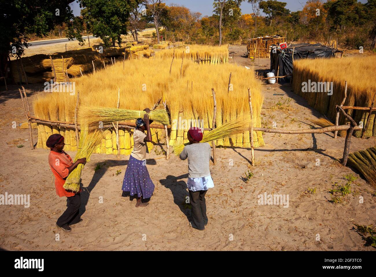 African people and their business of straw used locally for hut ...
