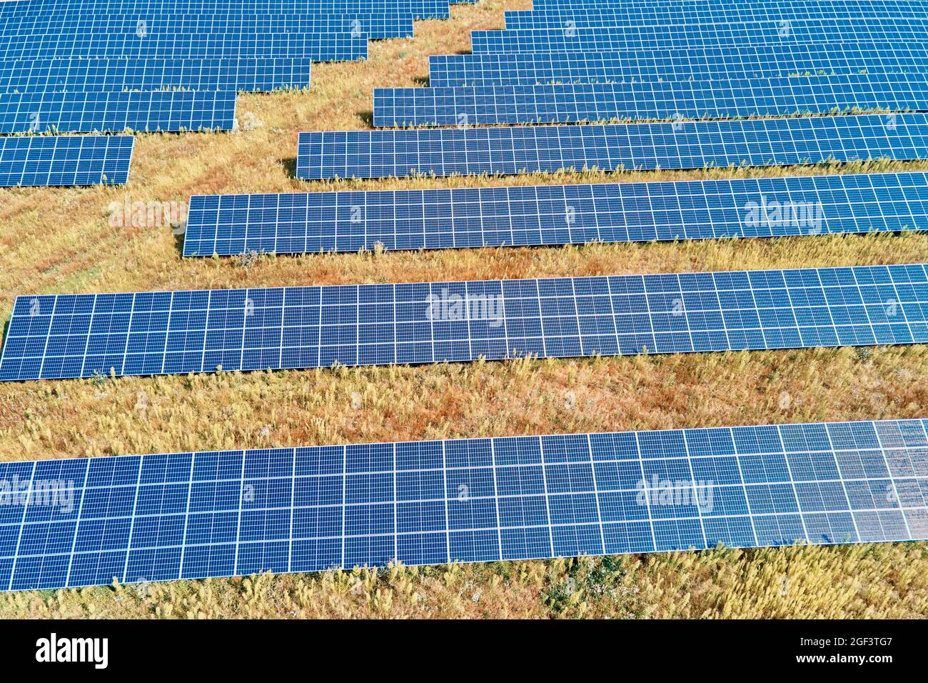 Row of solar panels in the field. Solar battery farm, aerial view ...