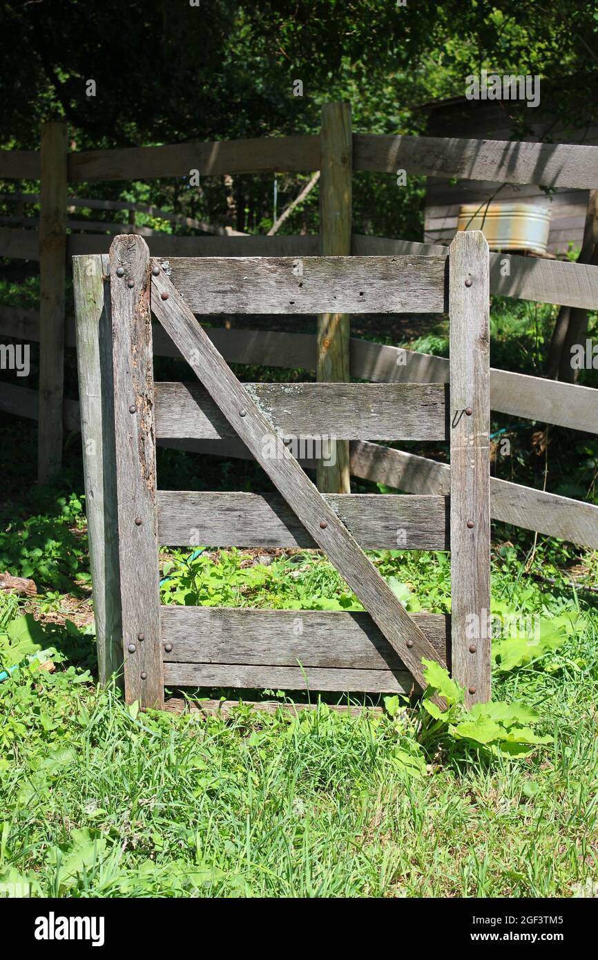 Tranquil green overgrown pasture on a bright sunny summer day Stock ...