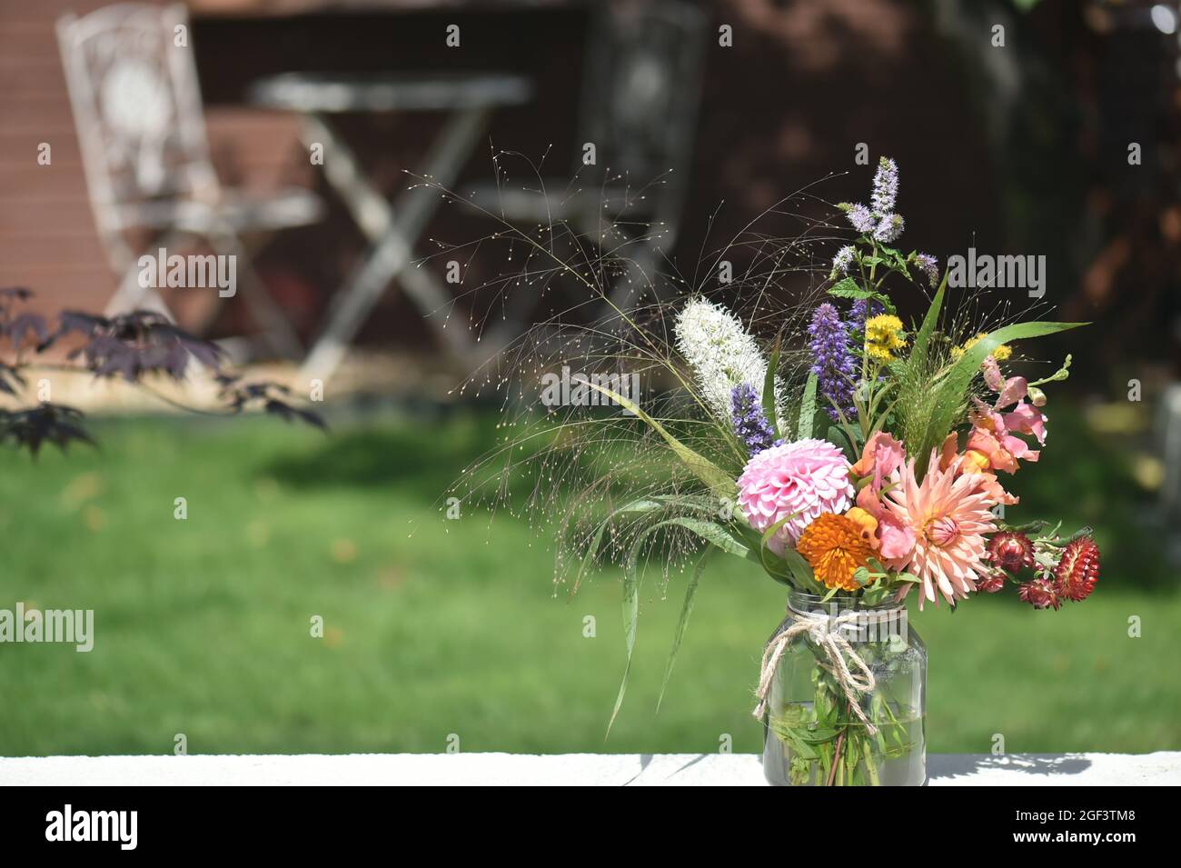 Colourful outdoor flowers Stock Photo - Alamy