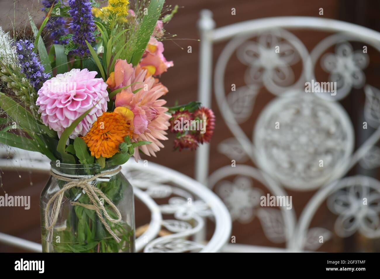 Colourful outdoor flowers Stock Photo - Alamy