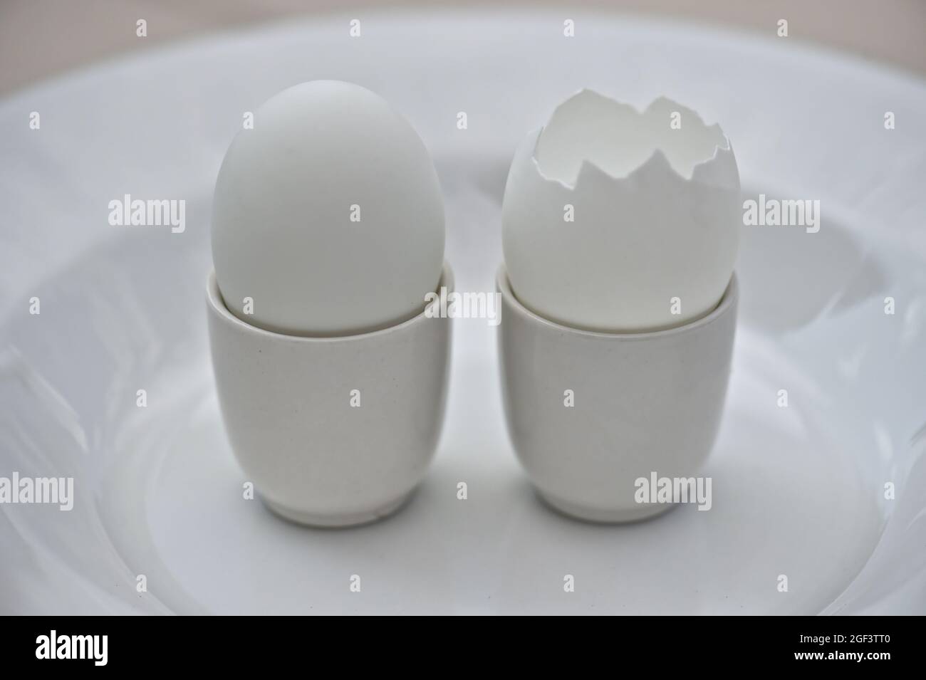 White duck eggs on a white plate Stock Photo - Alamy