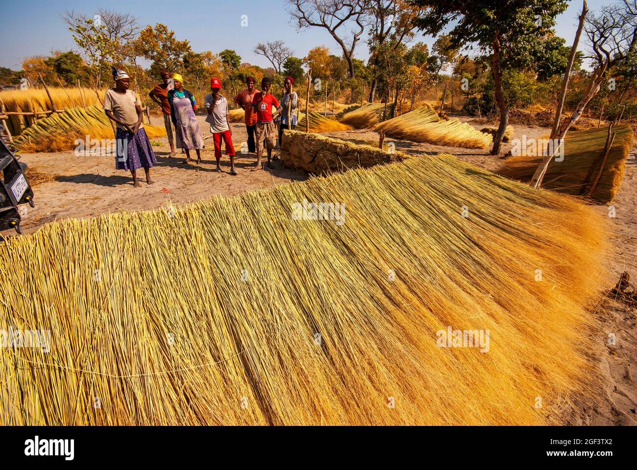 African people and their business of straw used locally for hut ...